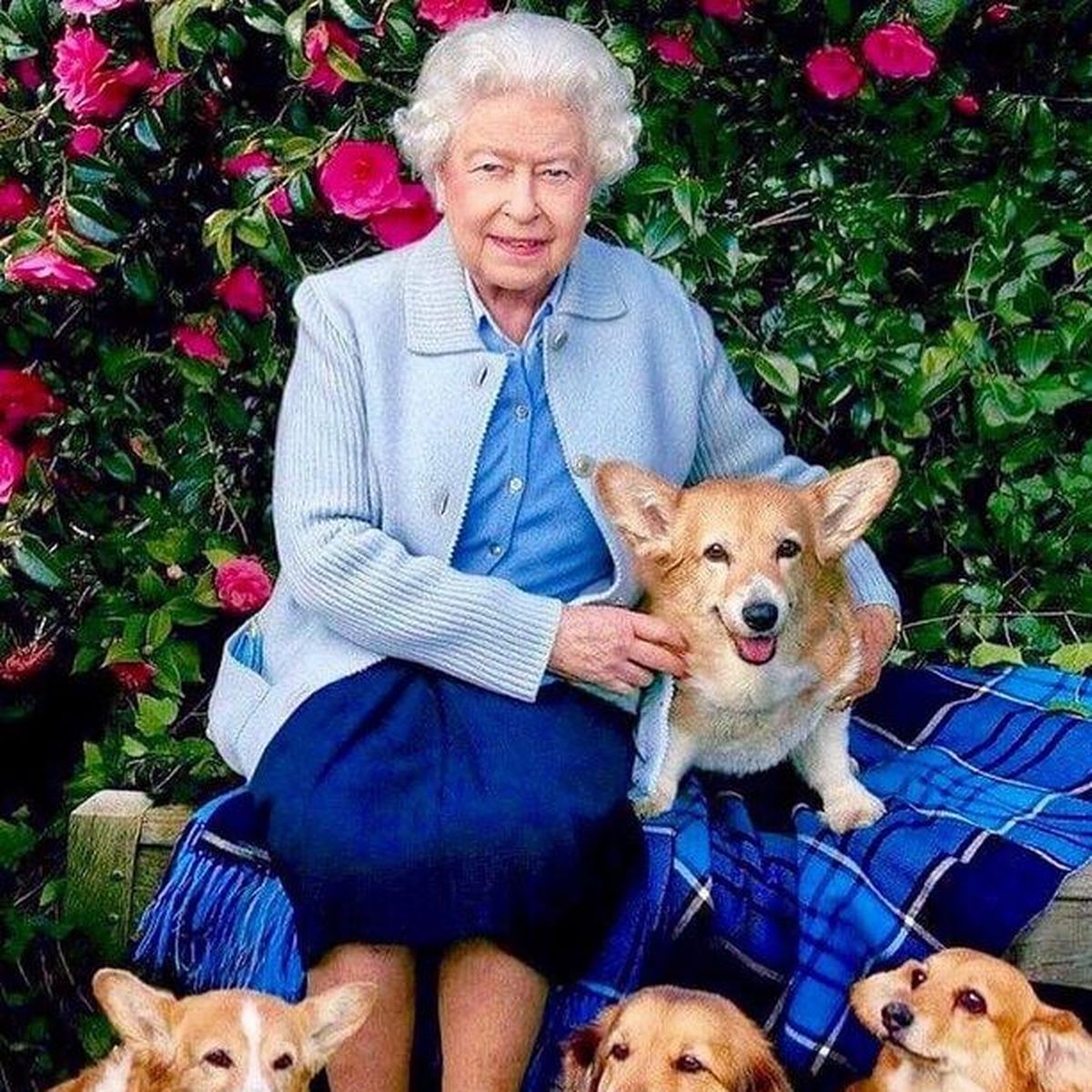 The Queen & Her Corgis - Pawz & Me The Queen & Her Corgis - Pawz & Me